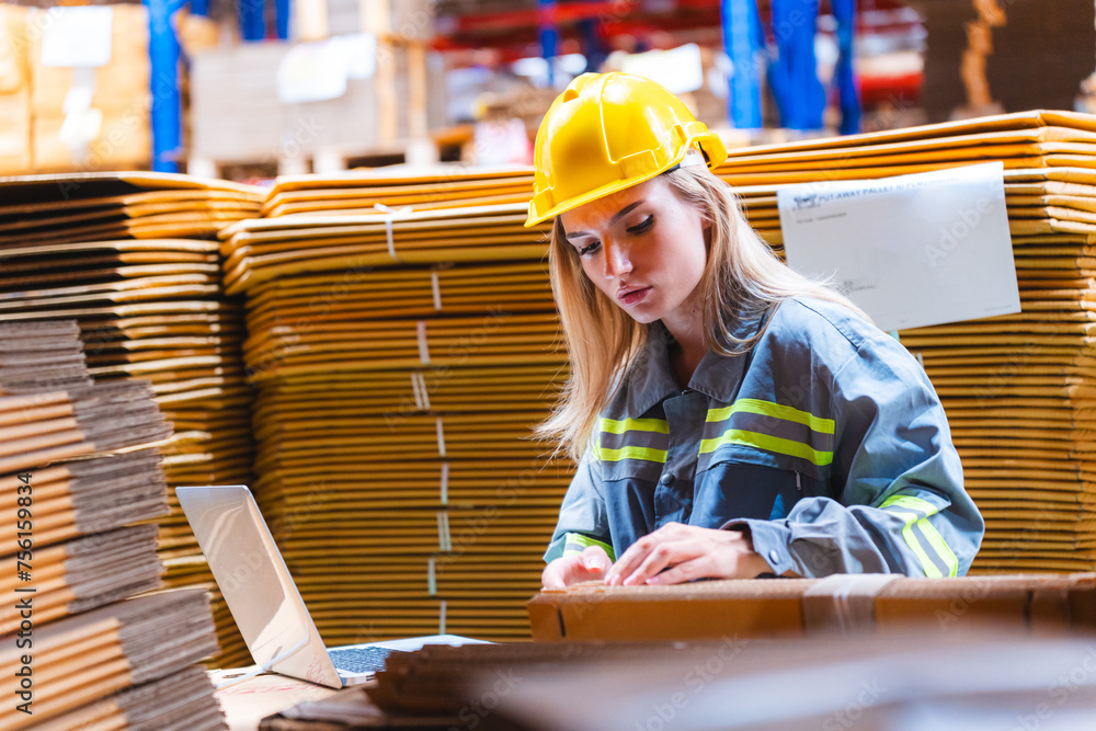 Professional worker in safety uniform hard hat, supervisor inspector ...