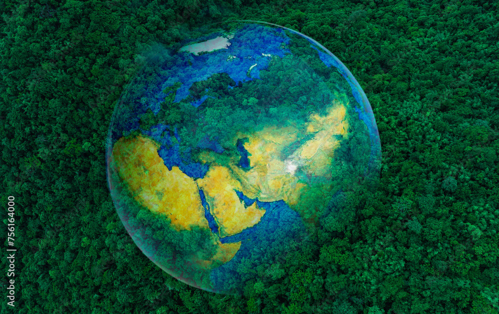 Atmospheric aerial view of the green forest with the earth Demonstrate ...