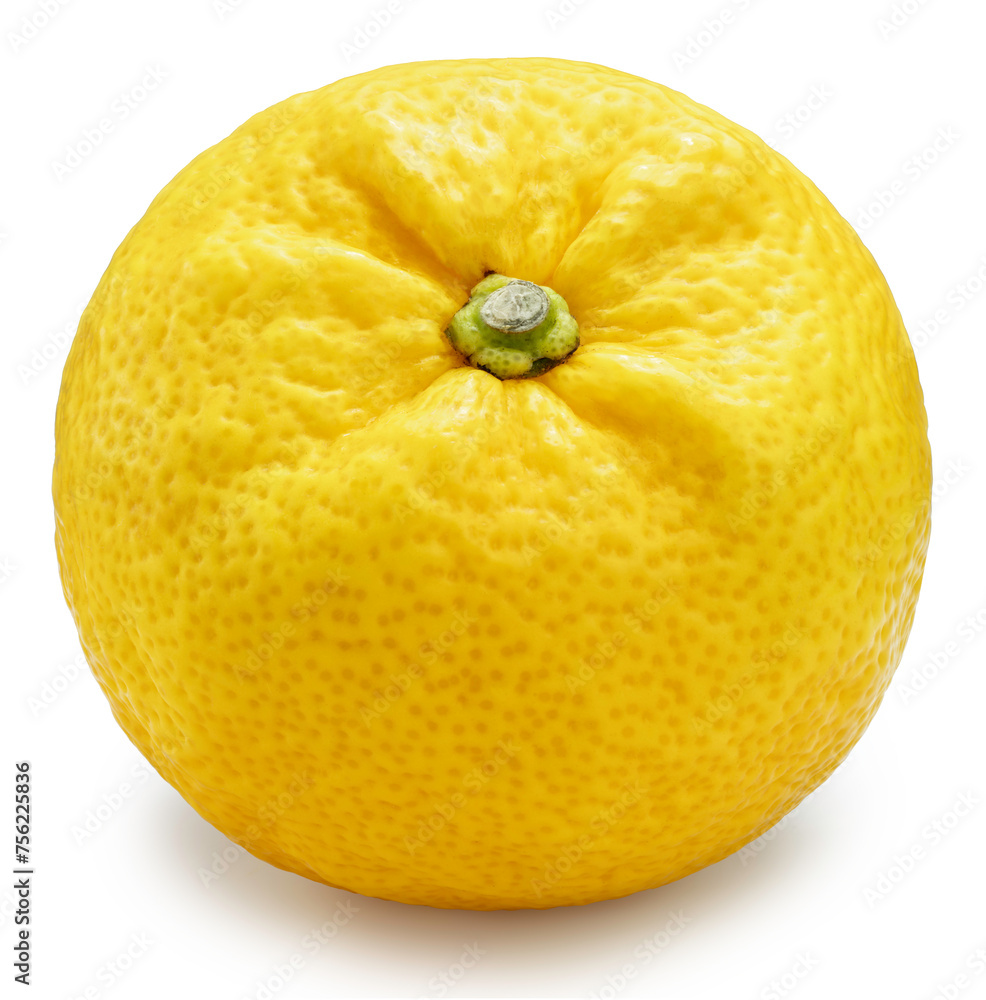 Sweet Yuzu Orange fruit isolated on white background, Kochi Yuzu orange ...