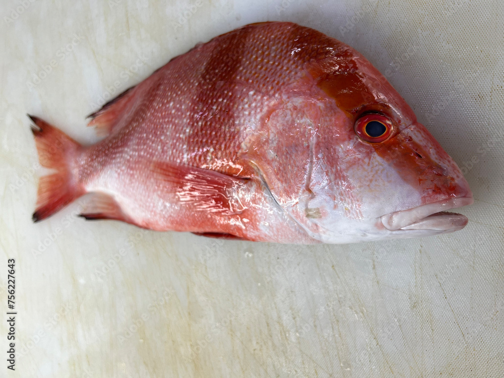 fresh raw cold seafood white red green snapper whole fish ikan head ...
