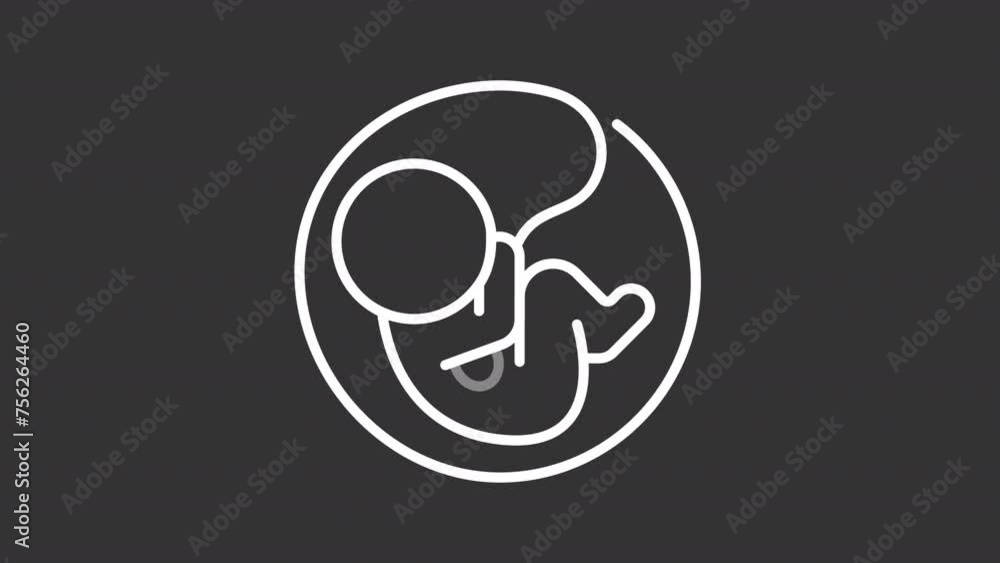 Animated embryo baby white icon. Pregnancy womb line animation. Fetus ...