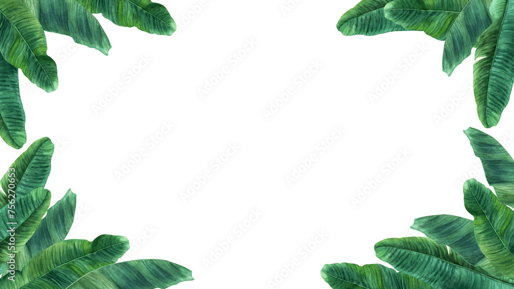 Watercolor rectangle frame with banana tree leaves. Hand drawn ...