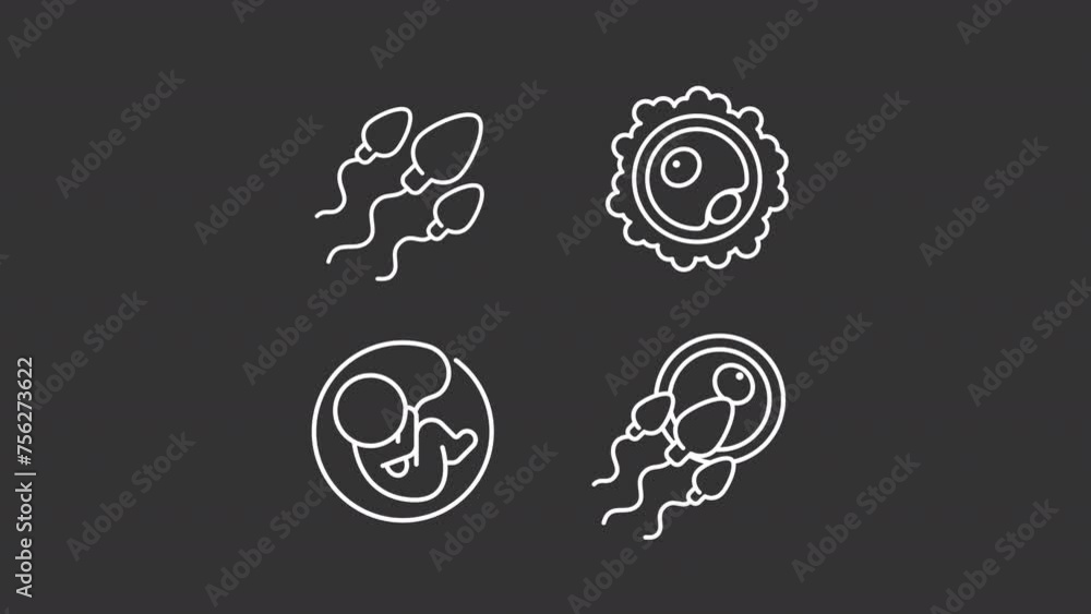 Pregnancy animation library. Insemination animated white line icons ...