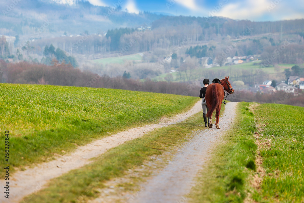 Rider walks her horse along a field path, landscape image in landscape ...