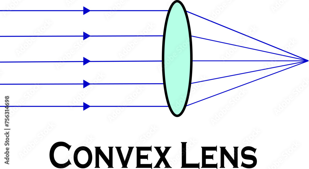 Convex Lens Diagram Vector Illustration Converging Lens Diagram