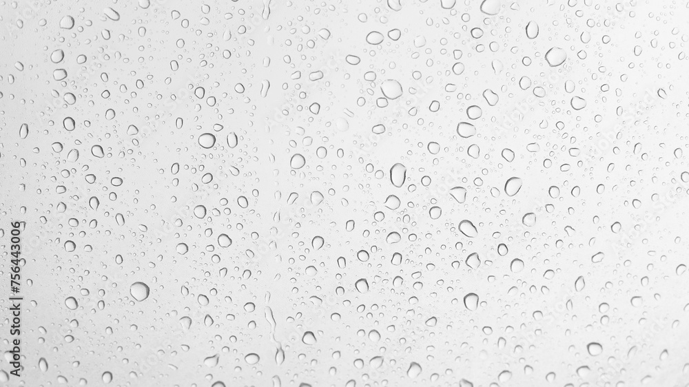Raindrops on transparent oilcloth. Many drops of water on a transparent ...