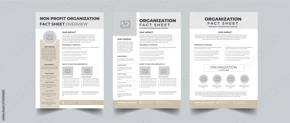 Nonprofit Organization Fact Sheet Template Layout Stock Vector | Adobe ...