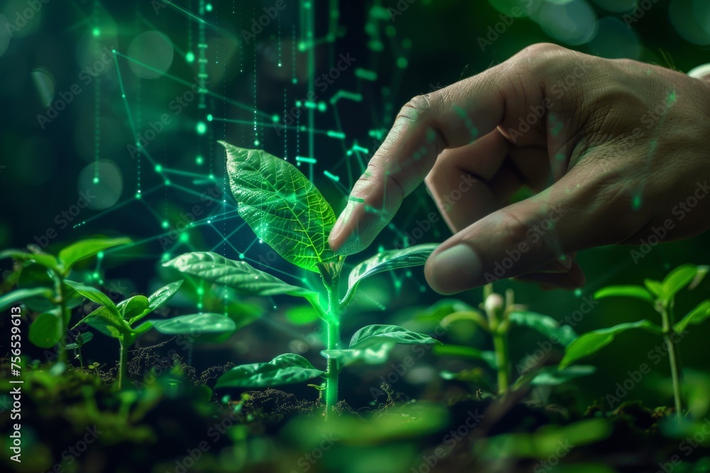 Hands touch young plant with virtual screen of Artificial intelligence ...