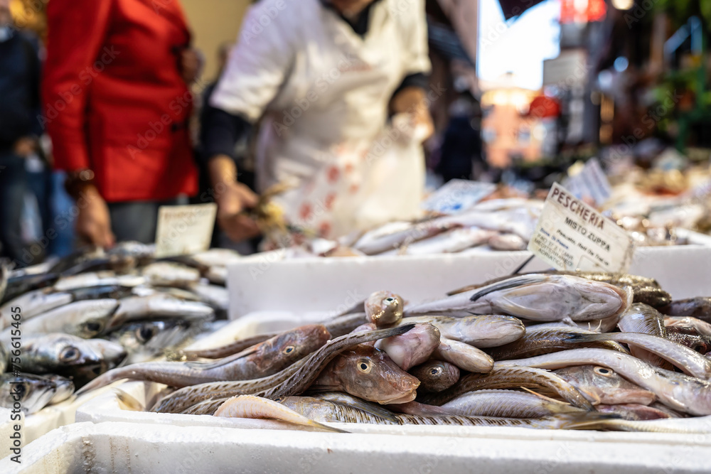 Modern and sustainable fish market with tub gurnard (Chelidonichthys ...