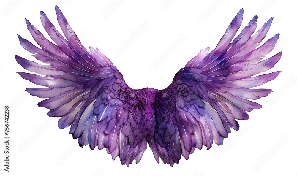 Lavender angel wings with feather details on transparent background ...