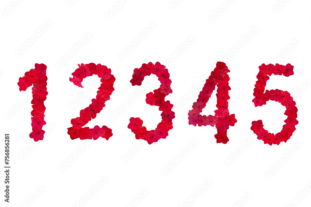 Image of red flowers arranged to form the number 12345, isolated on a ...