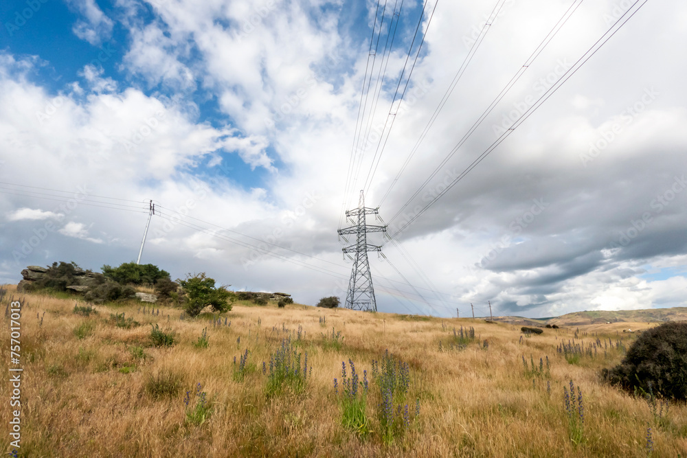 The Roxburgh Dam: Spectacular Scenery of Rolling Hills, Native Flora ...