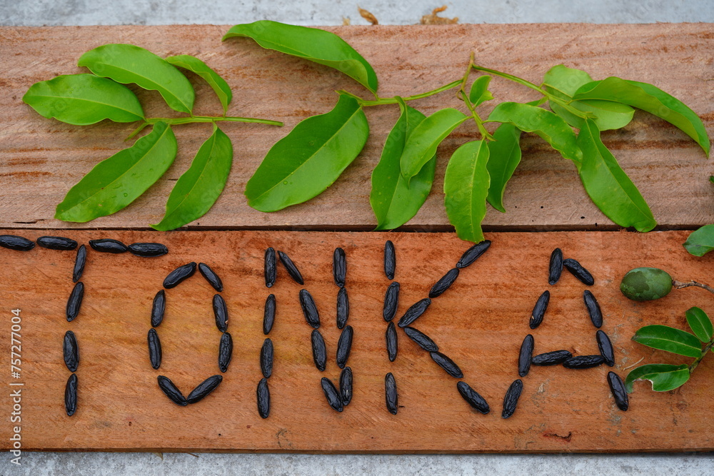 Dry Tonka beans of the Cumaru tree (Dipteryx odorata), placed as a word ...