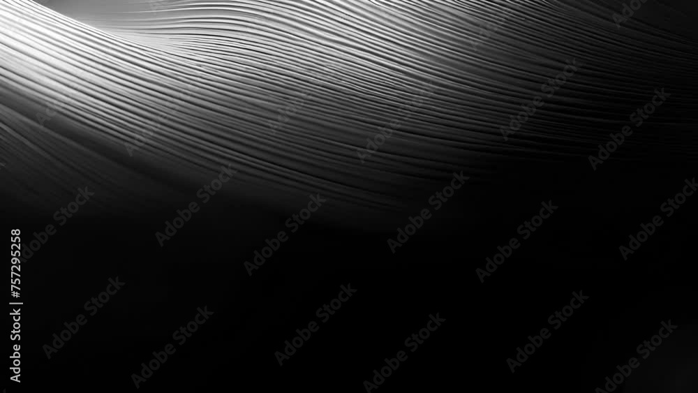 black background or luxury gray background abstract white corner light ...