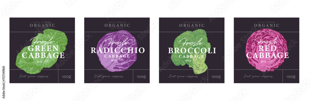 Cabbage hand drawn illustrations, modern packaging design, label ...