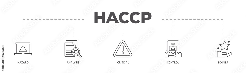 HACCP infographic icon flow process which consists of hazard analysis ...