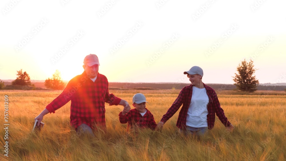 Happy farmer family with child sprints in country wheat field. Father ...