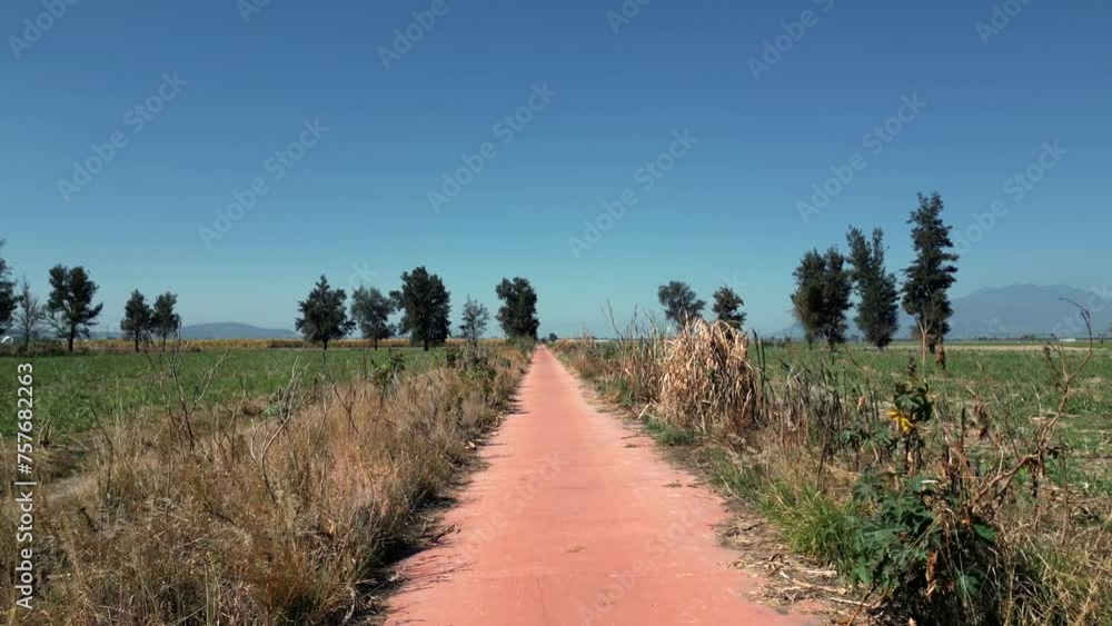 Camino largo de sembradíos entre pastizales y árboles alrededor para ...