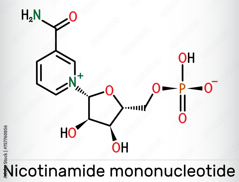 Nicotinamide mononucleotide, NMN molecule. It is naturally anti-aging ...