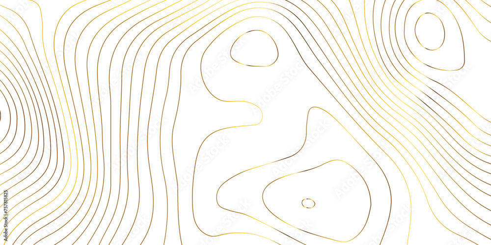 Topographic map background geographic line map pattern .panorama view ...