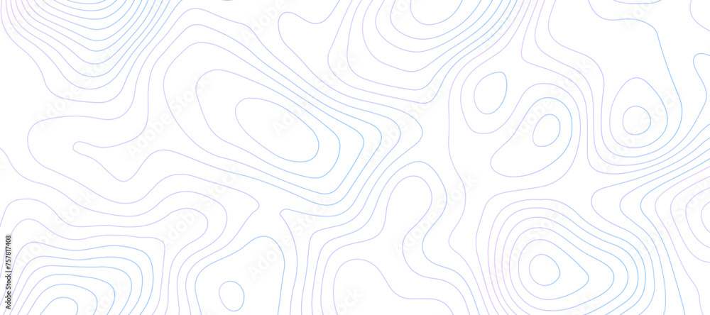 Topographic map background geographic line map pattern .panorama view ...
