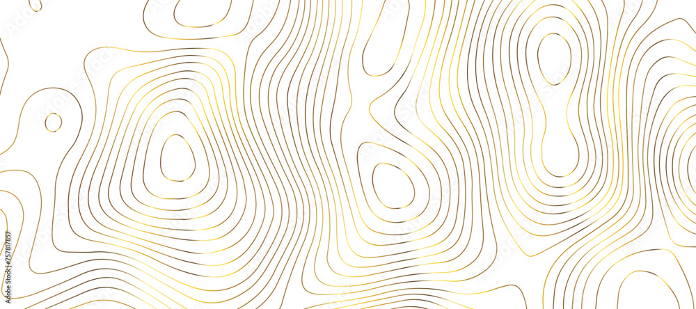 Topographic map background geographic line map pattern .panorama view ...