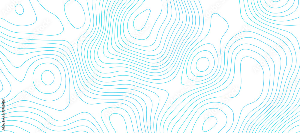 Topographic map background geographic line map pattern .panorama view ...