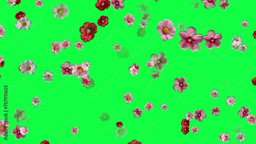 Bright Colorful Flower Rotating And Falling, Flower Falling Green ...