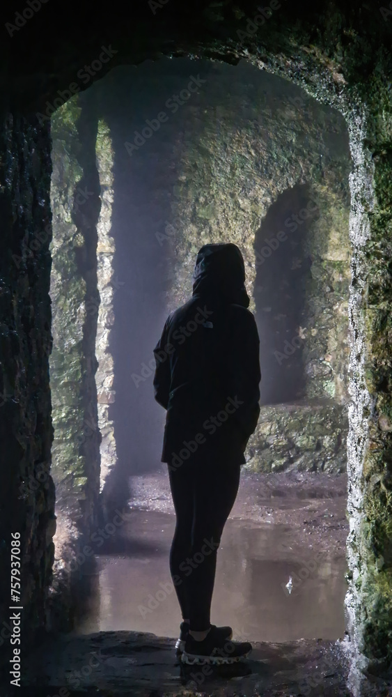 Silent witness to the submerged mysteries of the Hellfire Club, a ...