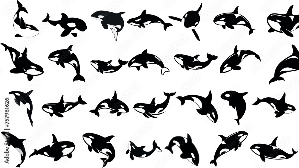 Orca clipart vector illustration, killer whale orca silhouette in ...