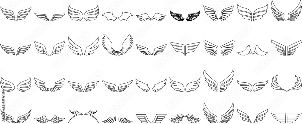 hand drawn wing line art Vector set, wings include angel, fairy, bat ...