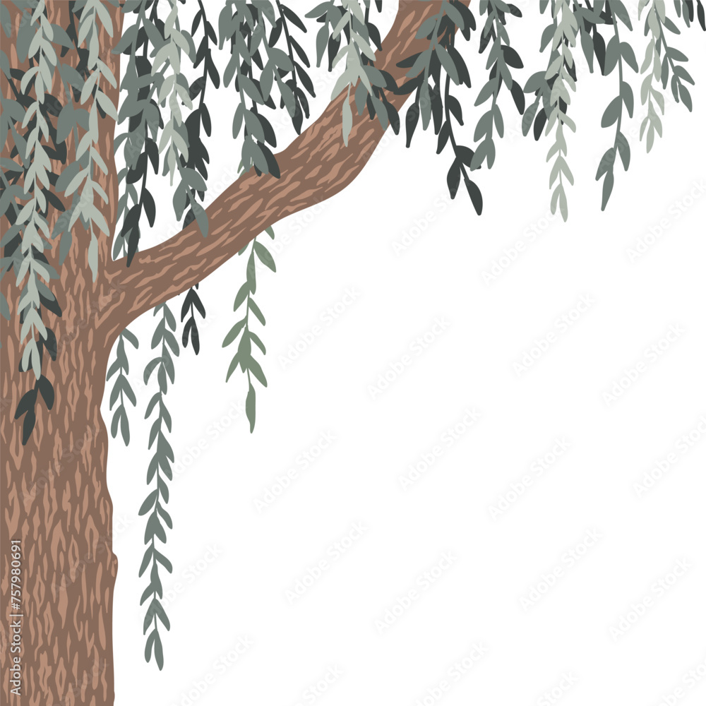 Green willow tree branches frame isolated on white background. Corner ...