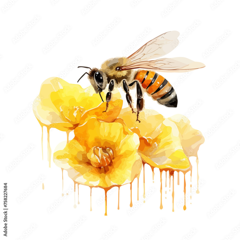 Watercolor Painting vector of a honey bee eating from flower nectar ...