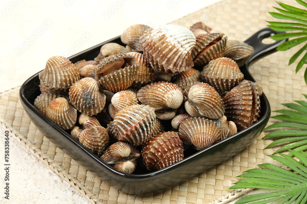 Kerang dara or kerang darah (Anadara granosa). commonly consumed by ...