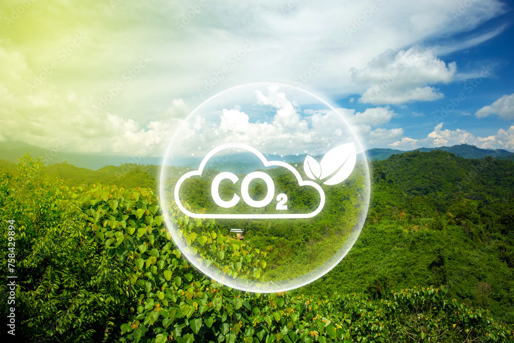 The concept of carbon dioxide emissions and their impact on nature is ...