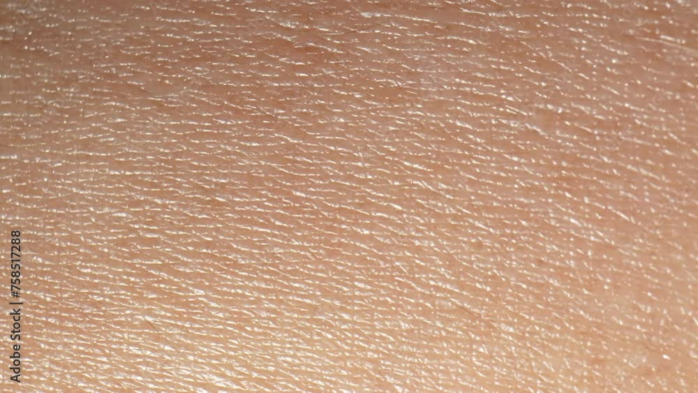 Vidéo Stock Macro video immerses in skin texture world. Precision zoom ...