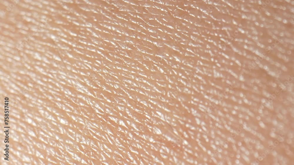 Wrinkles tell life stories, freckles hold sun-kissed memories. Skin ...