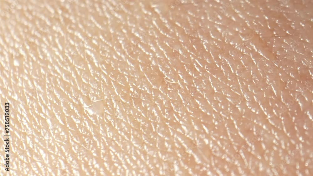 Vidéo Stock Tiny ridges, valleys create captivating lines, patterns ... Vidéo Stock Tiny ridges, valleys create captivating lines, patterns ...