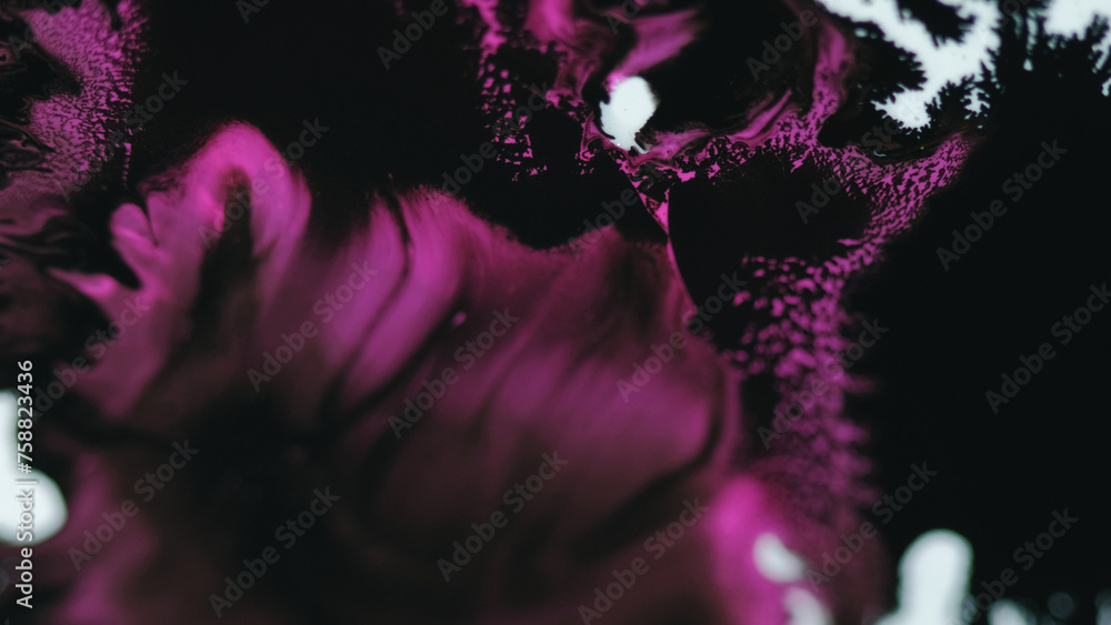 Ink spill. Paint drop. Defocused pink black color fluid spatter blend ...