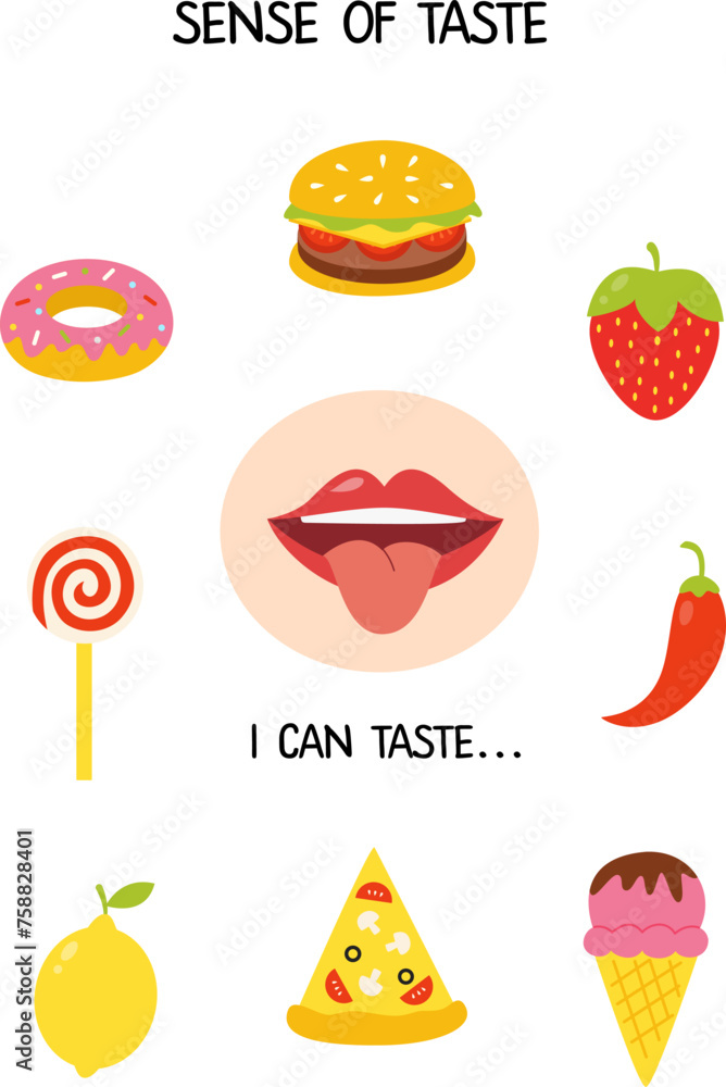 Five senses poster. Sense of taste. Worksheet for kids. Stock Vector ...