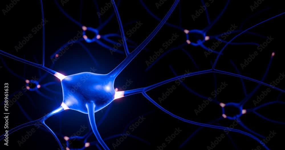 Nerves in the body model have electrical currents, indicating the ...