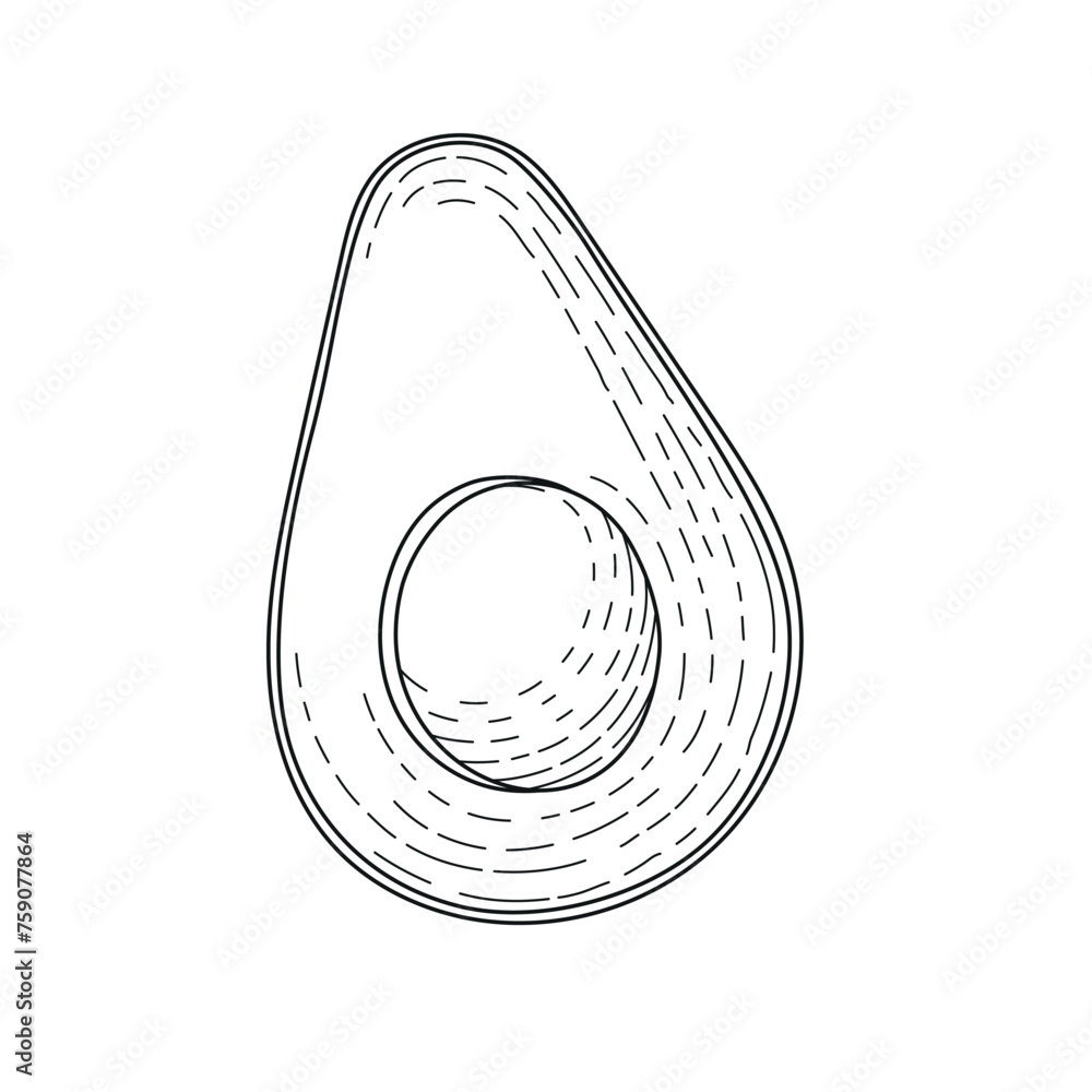 BW vector illustration of food. Sliced avocado with a stone. Realistic ...