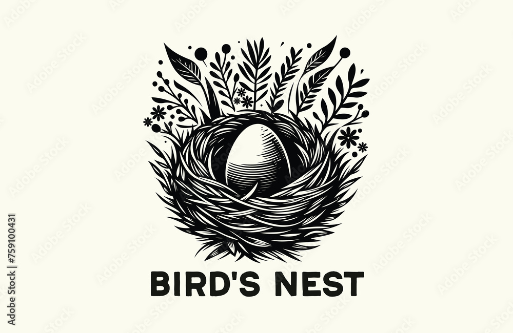 Bird Nest with Eggs Pen and Ink Vector Drawing, Illustration of a bird ...