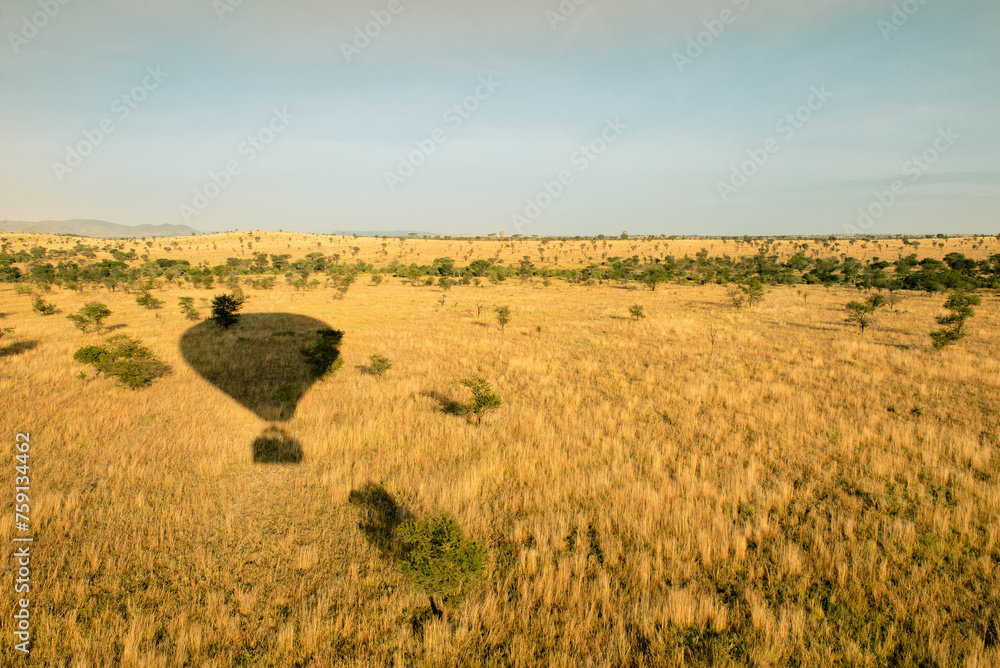 Shadow of a hot air balloon cast on the savannah in Tanzania Stock ...
