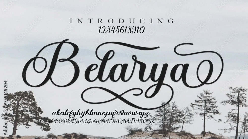 Font Handwritten Signature Brush Font Type Font lettering handwritten ...