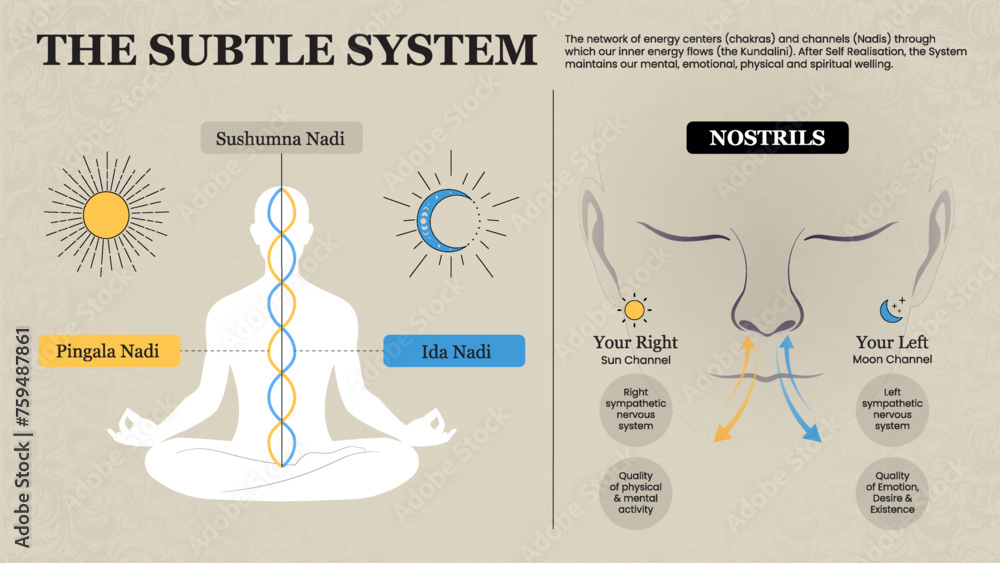 The Subtle SysteVisualizing the Subtle Body System in Indian Ayurveda ...