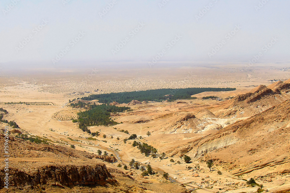 desert landscape; oasis; mountain valley top view; rivulet; Sahara ...