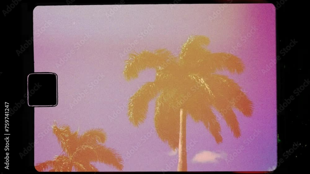 Palm tree in sun on handheld super 8 vintage film frame with sprocket ...