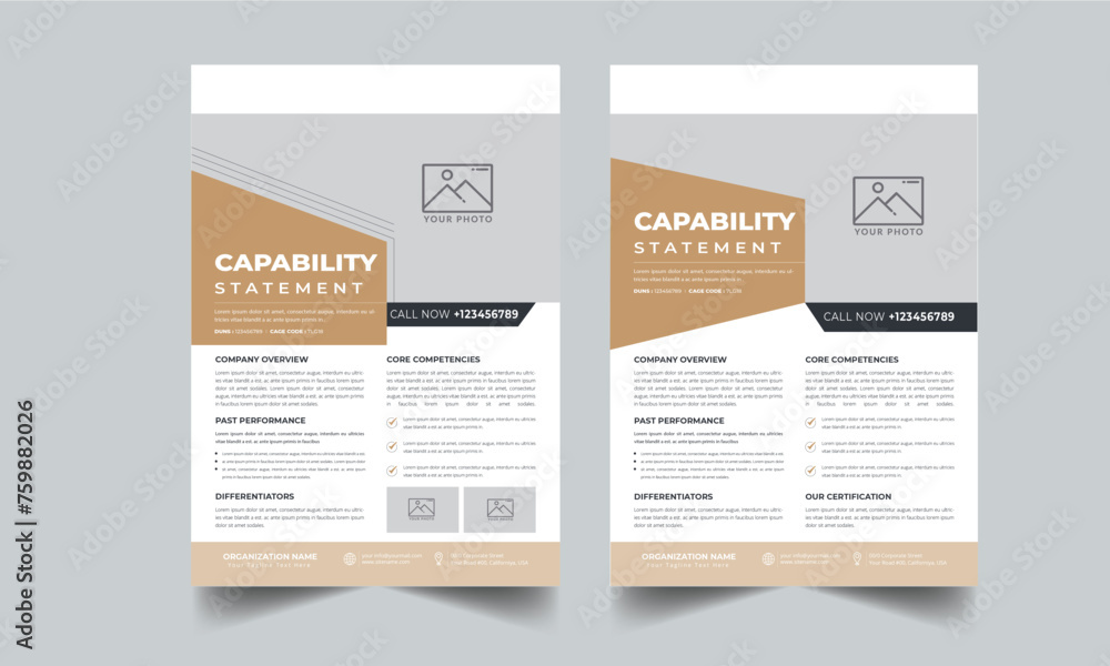 Capability Statement design template layout with 2 concept Stock Vector ...