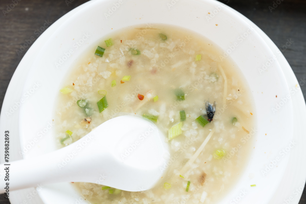 House fly, food contamination hygiene concept.The flies in boiled rice ...